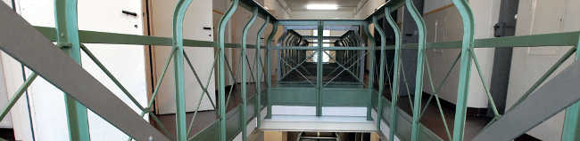 Ein Sinto-Boxer als Deutscher Meister in der NS-Zeit: Lesung in der ...