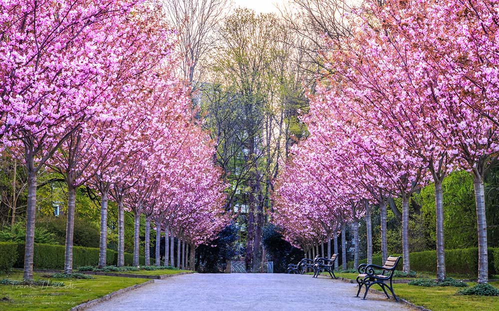 FOTOSTRECKE ROMBERGPARK: #BleibtZuhause (2) - wir liefern Euch ...